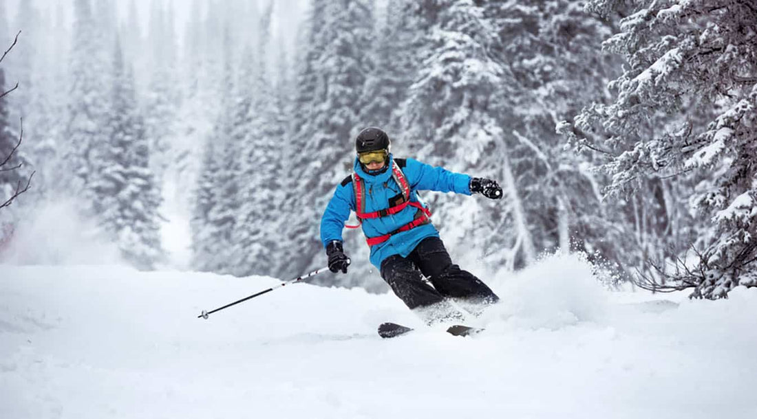 Les différents types de ski : le guide ultime | Cardo Systems
