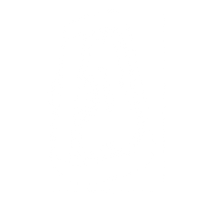 Freecom 2x: Bluetooth Headset | Cardo Systems