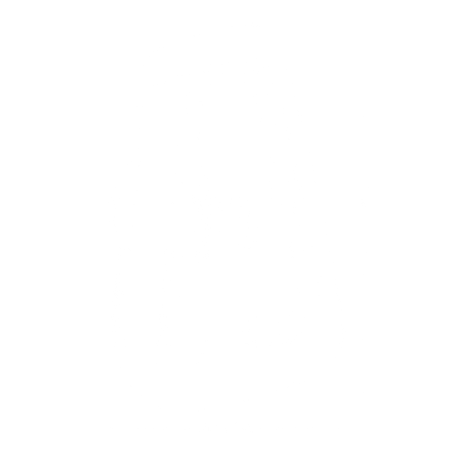 Freecom 2x: Bluetooth Headset | Cardo Systems