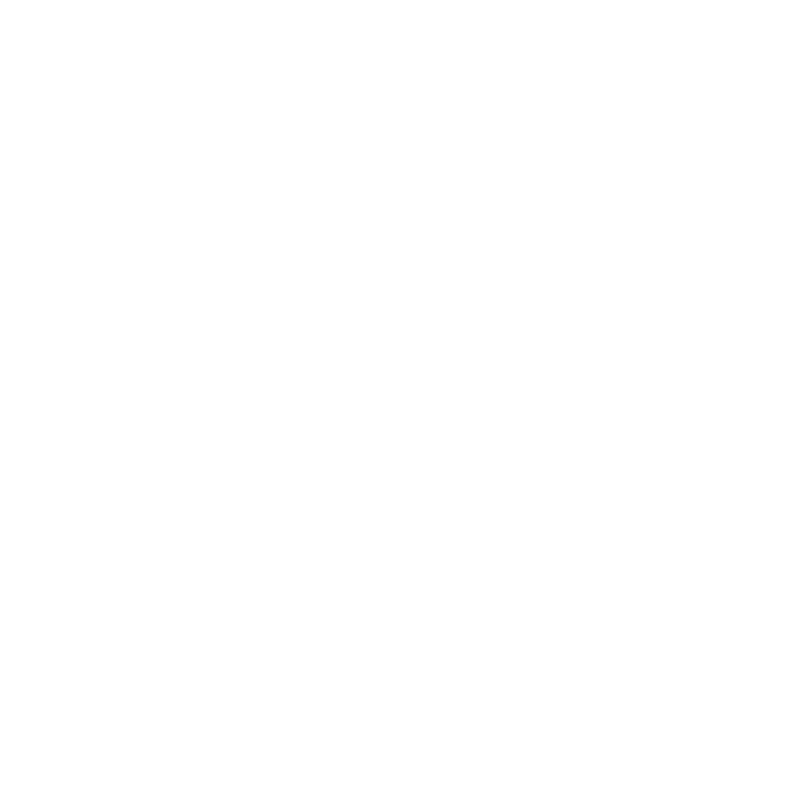 Freecom 4x: Bluetooth Headset | Cardo Systems